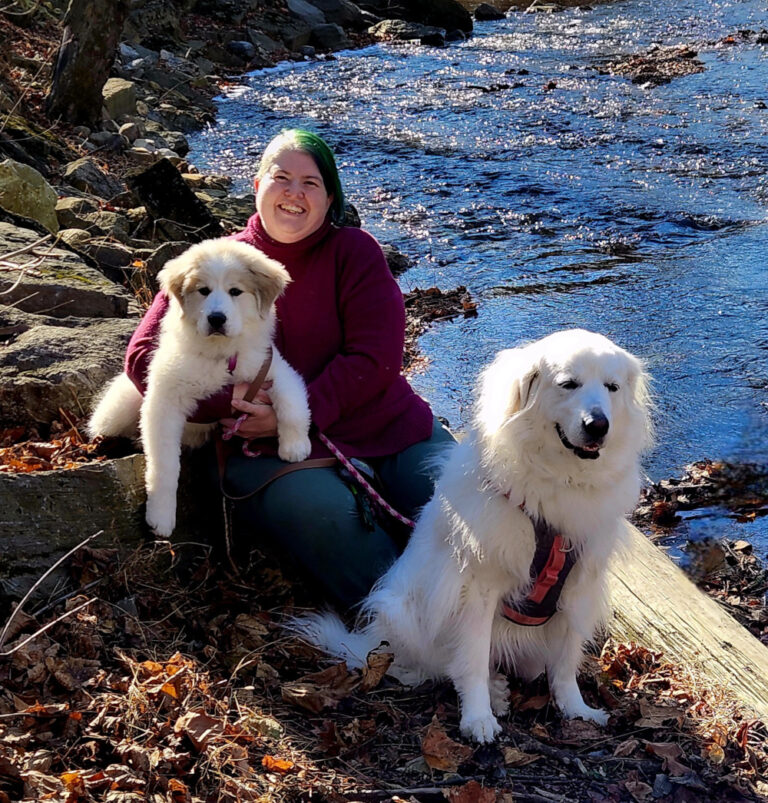 Meet Our Team - Mountain View Veterinary Services